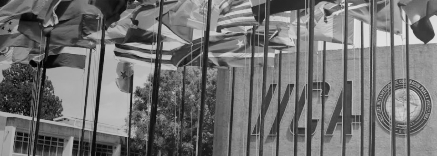 IICA (Instituto Interamericano de Cooperación para la Agricultura ...